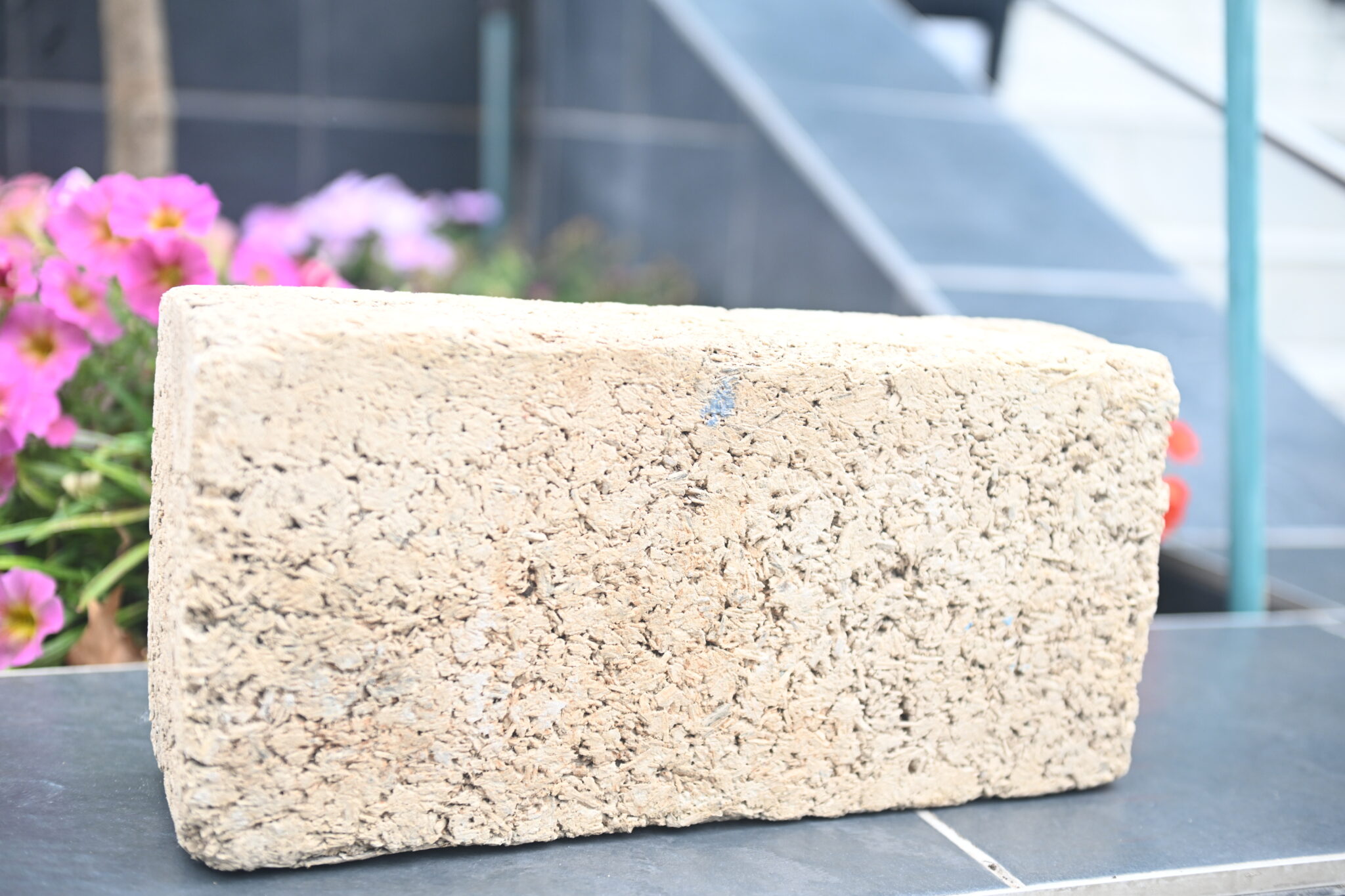 UJ hemp brick innovation signals a new era for sustainable rural ...